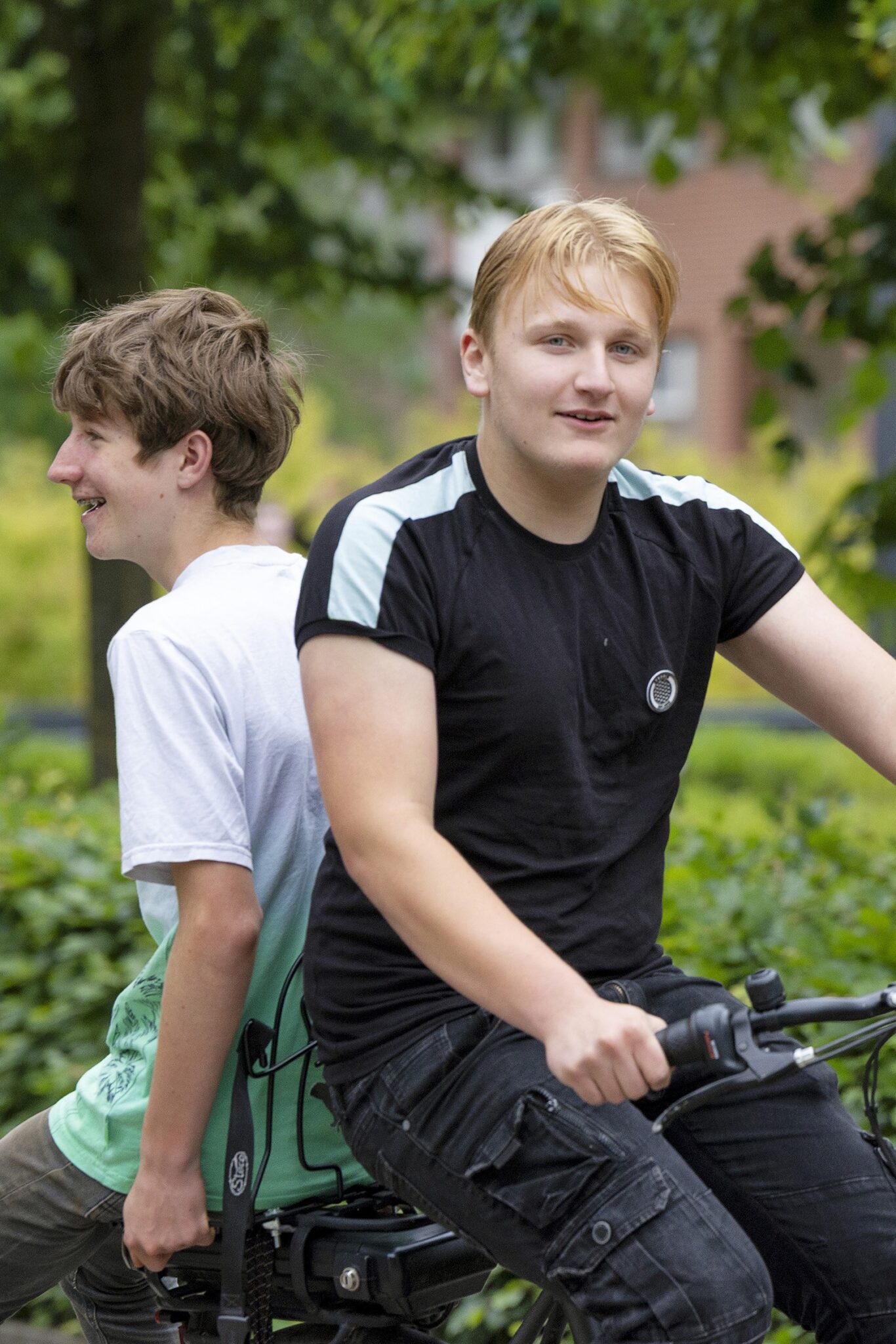 Metameer Stevensbeek